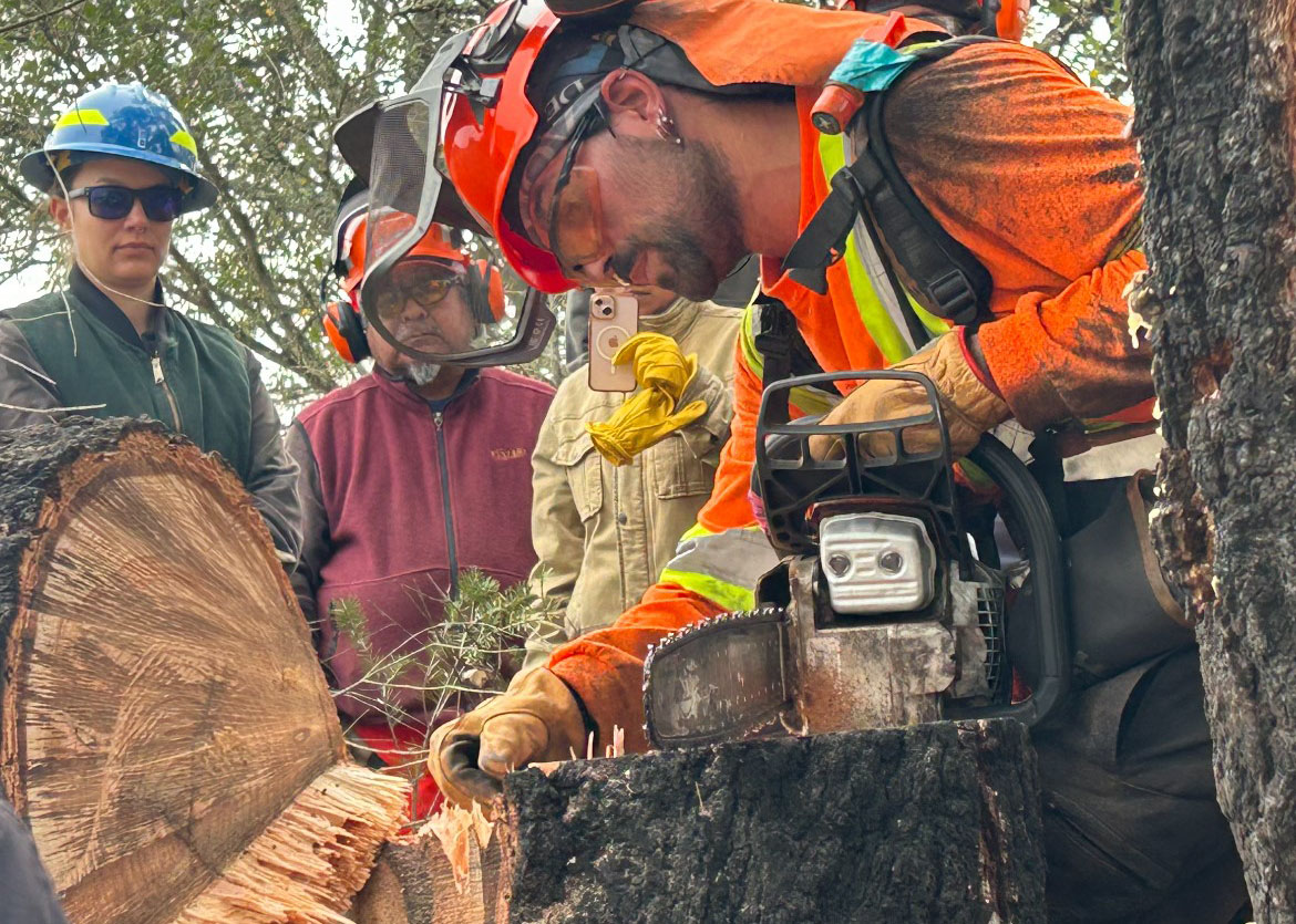 LWDA | Labor & Workforce Development Agency